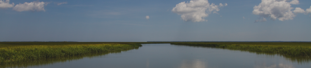 Pain Management Waycross GA | Centurion Spine & Pain Centers